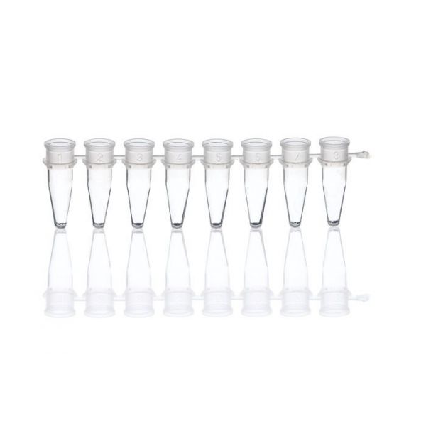 Bande de 8 tubes PCR PP, 0.2 ml, sans capuchons, bleu