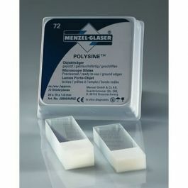 lame adhesion polysine 90° rodée Menzel